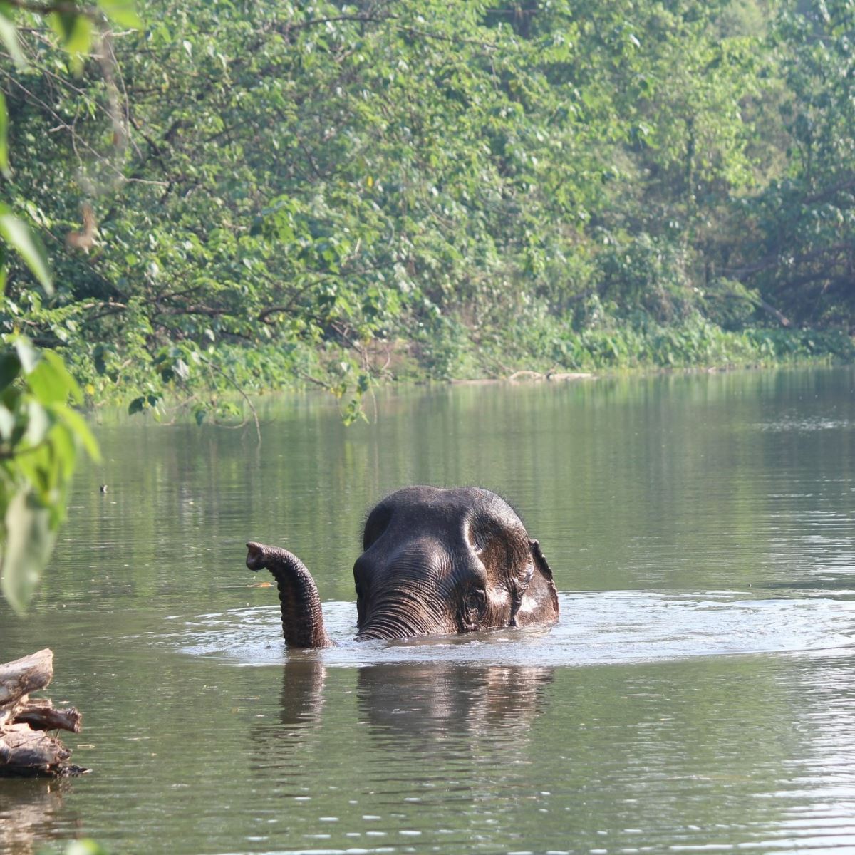 Tour Du thuyền sông Serepok VQG York Don
